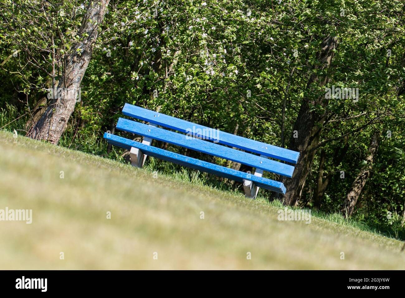 Blue bench in a public park Stock Photo - Alamy