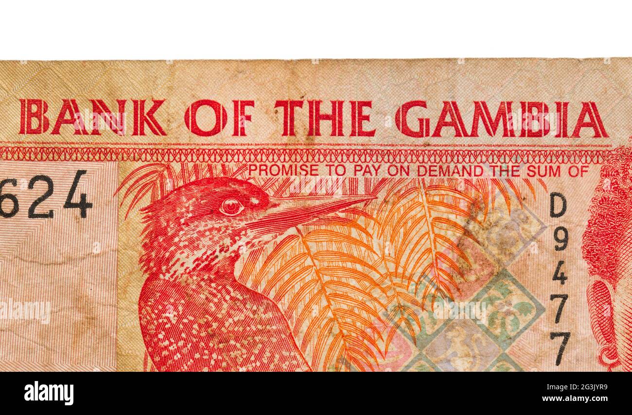 5 Gambian dalasi bank note Stock Photo - Alamy