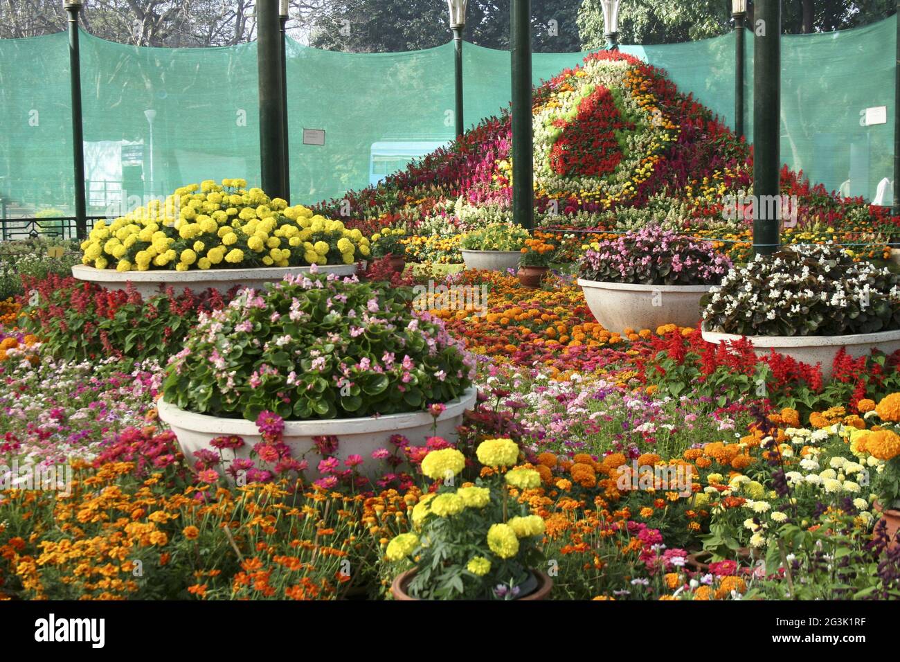 Floral display striking hi-res stock photography and images - Alamy