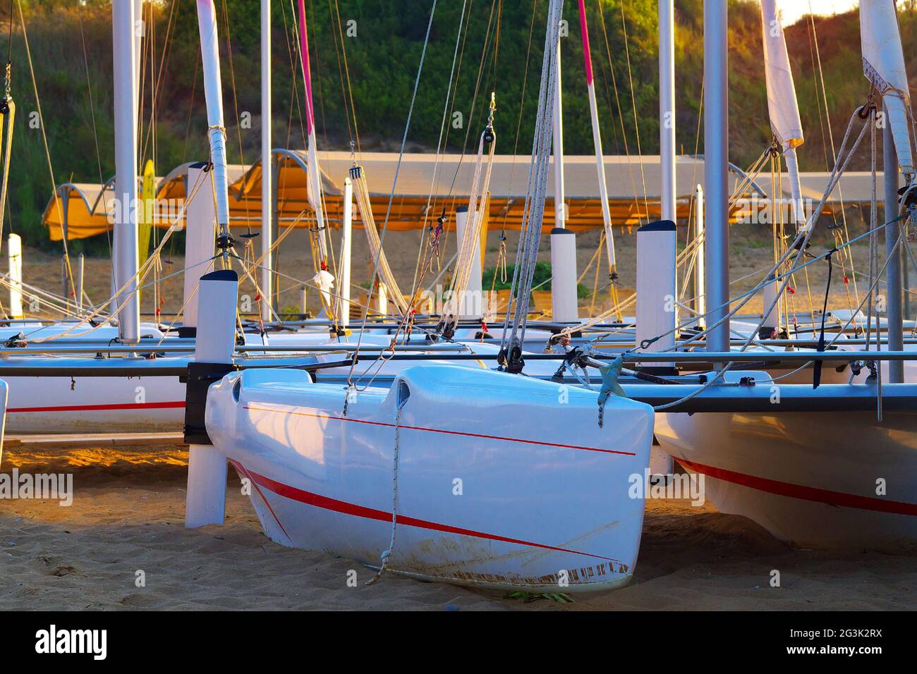 catamaran sailing boats parked on beach early in the morning under ...