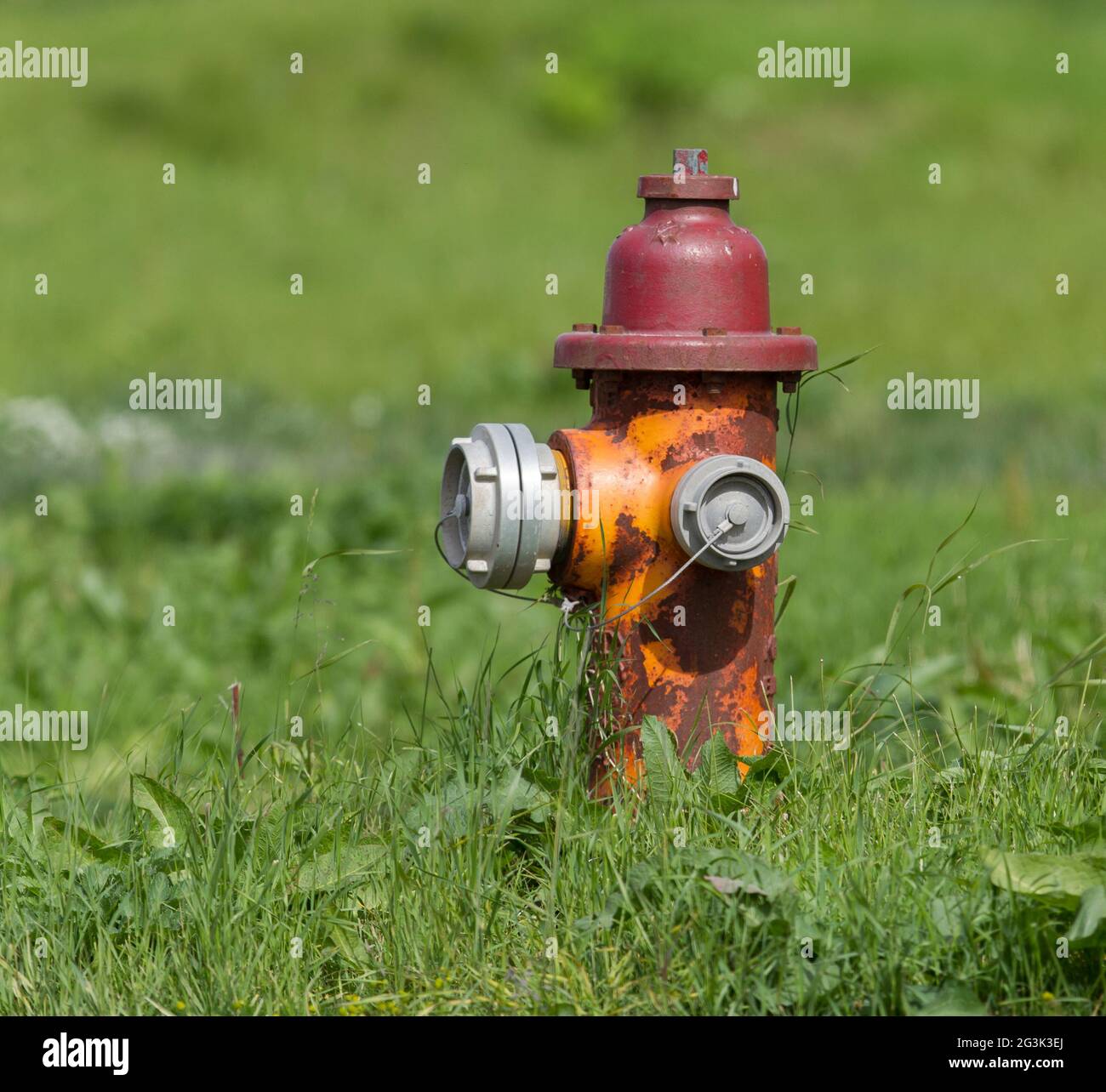 Fire hydrant open sprinkler hi-res stock photography and images - Alamy