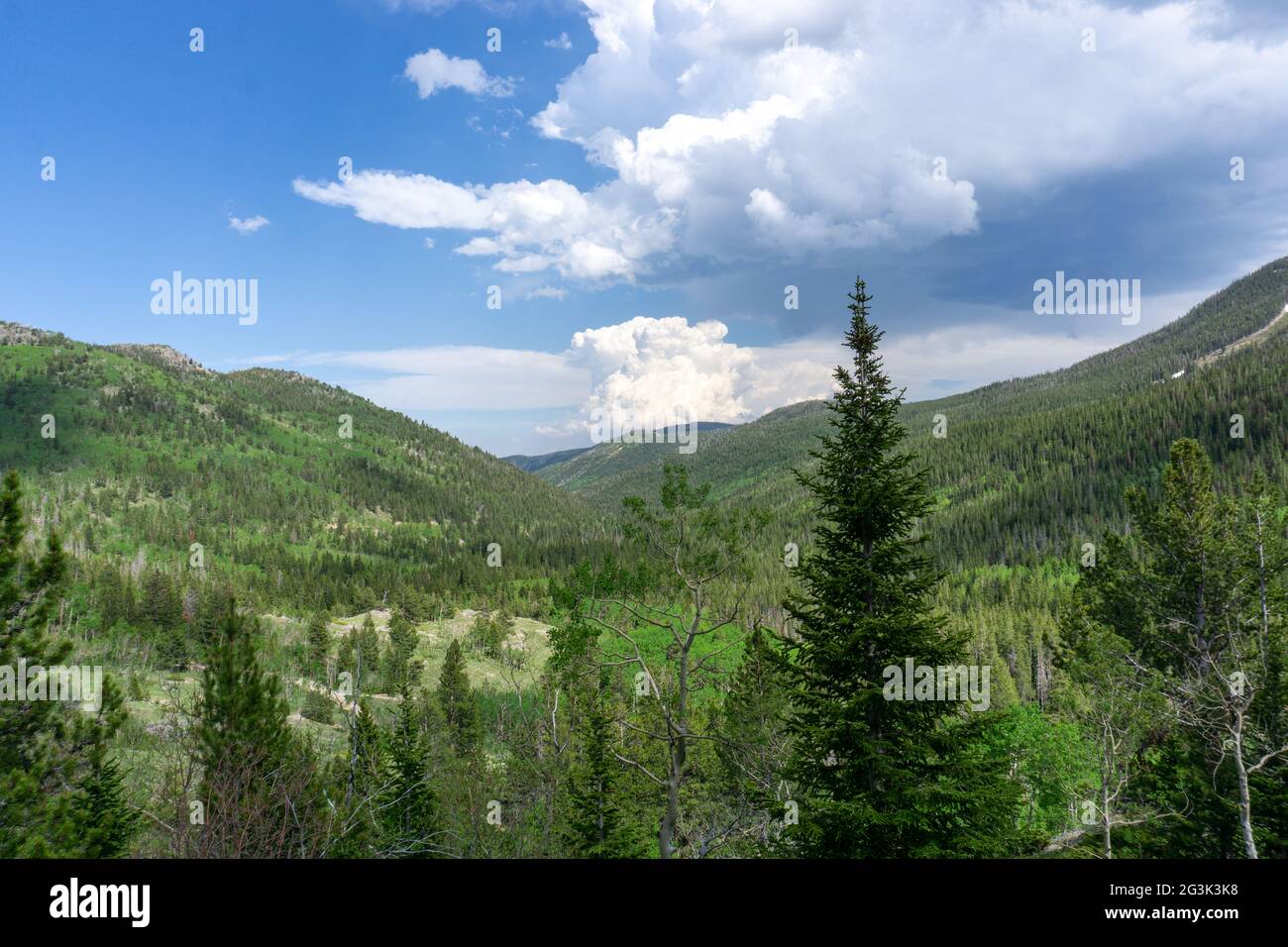 Springtime in Colorado mountains, Lost Lake hike in Nederland Stock ...