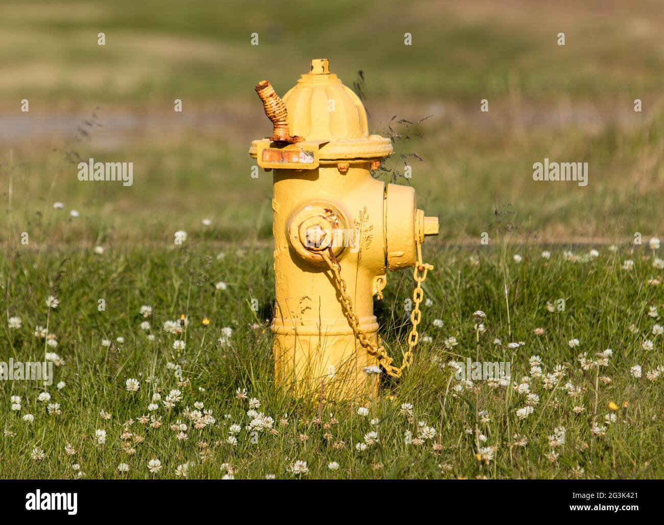Fire hydrant open sprinkler hi-res stock photography and images - Alamy