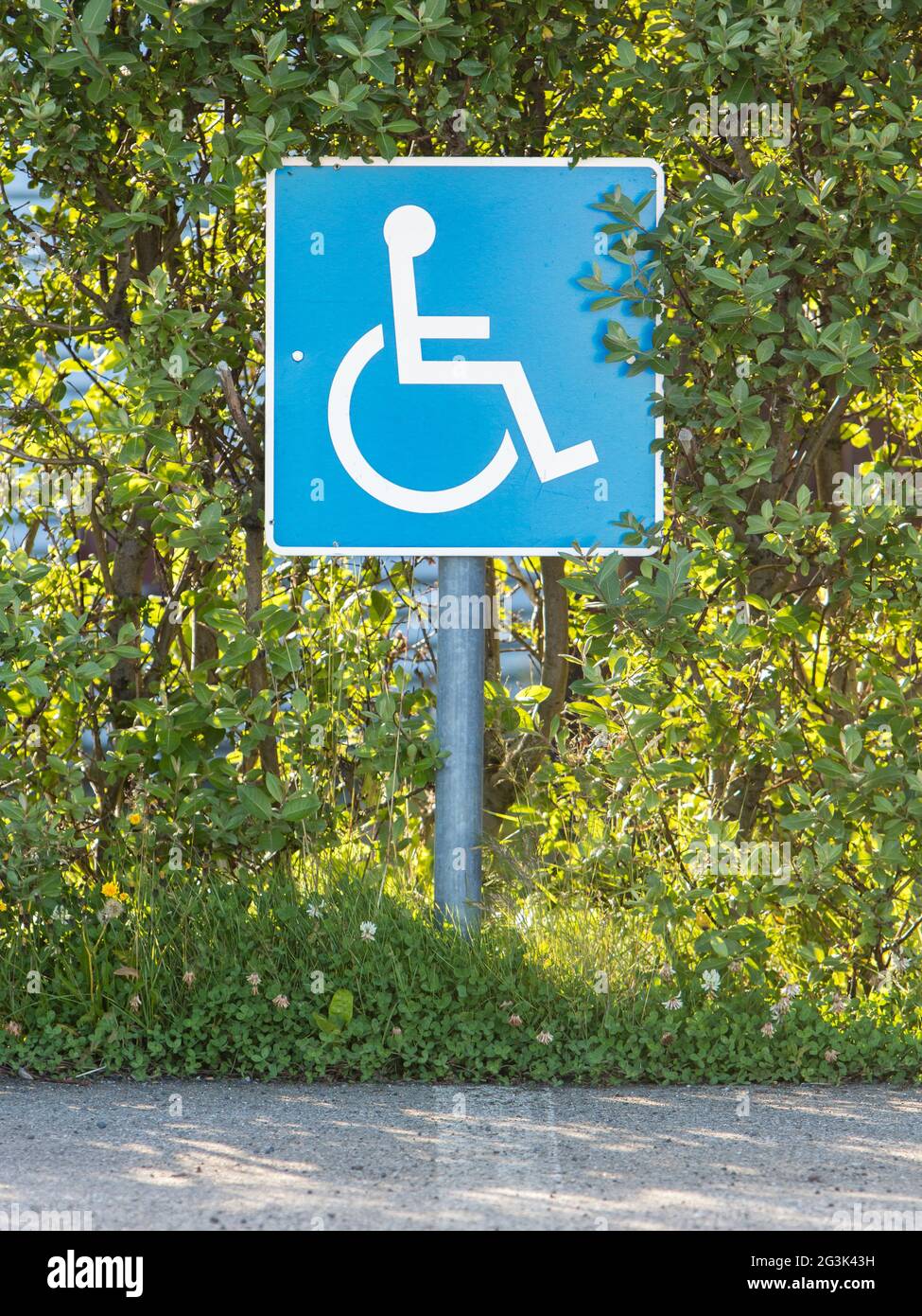 Sign for disable parking Stock Photo - Alamy
