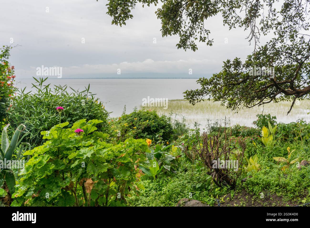 Beautiful Hawassa lake Stock Photo - Alamy