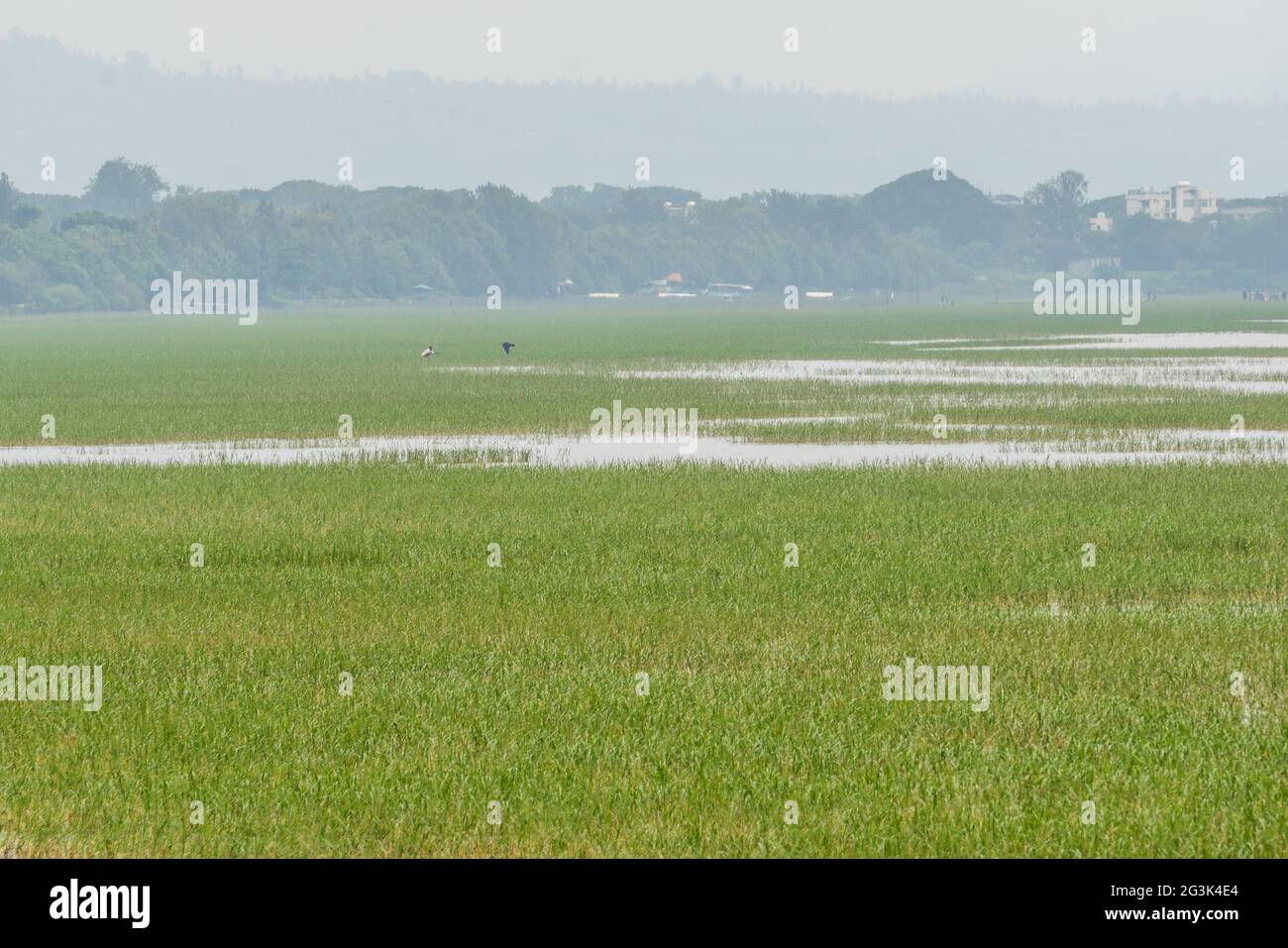 Beautiful Hawassa lake Stock Photo - Alamy