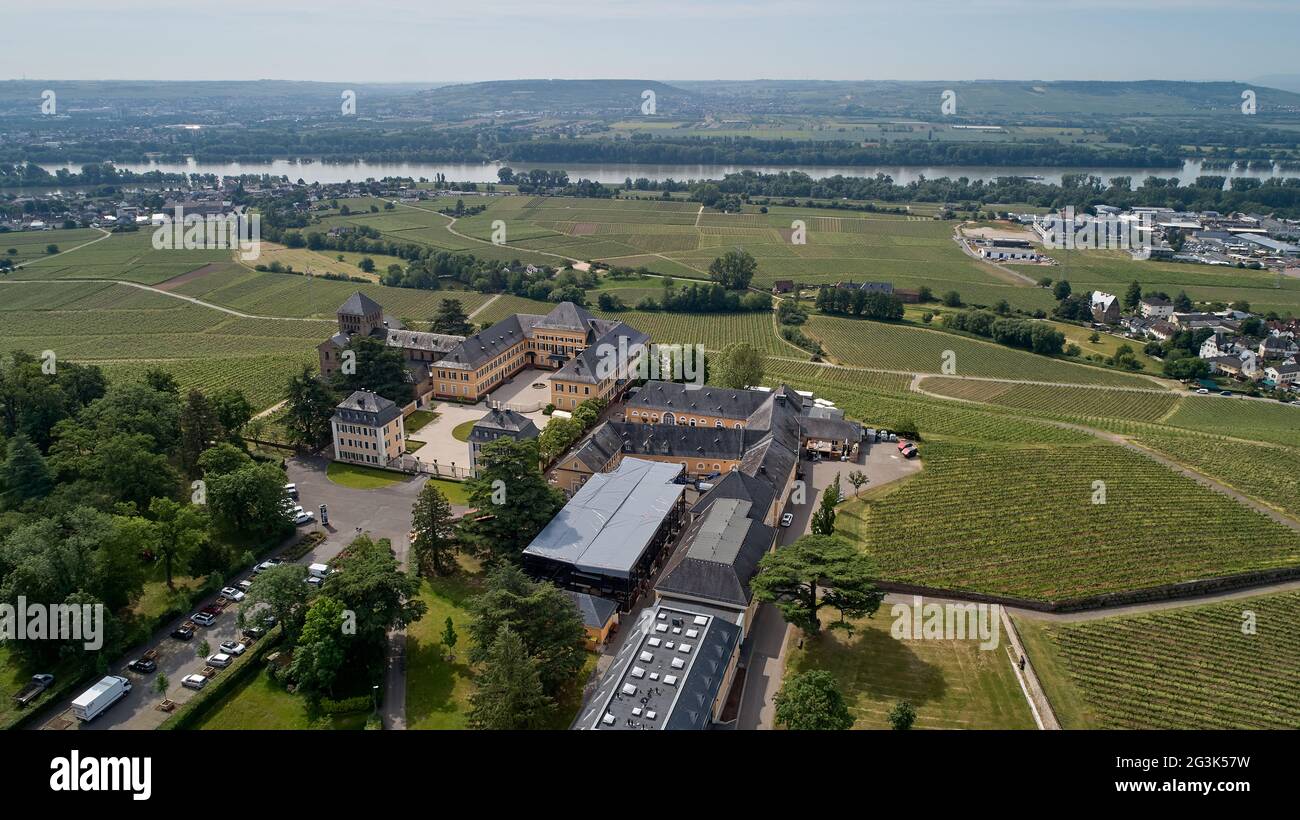 Geisenheim, Germany. 15th June, 2021. In front of Johannisberg Castle ...