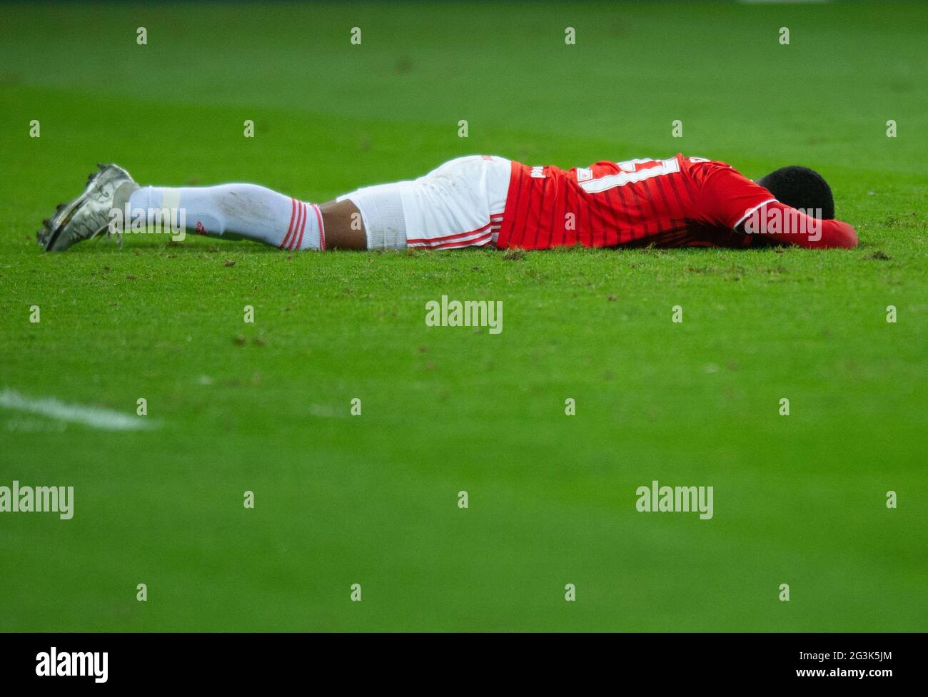 Vinicius mello hi-res stock photography and images - Alamy
