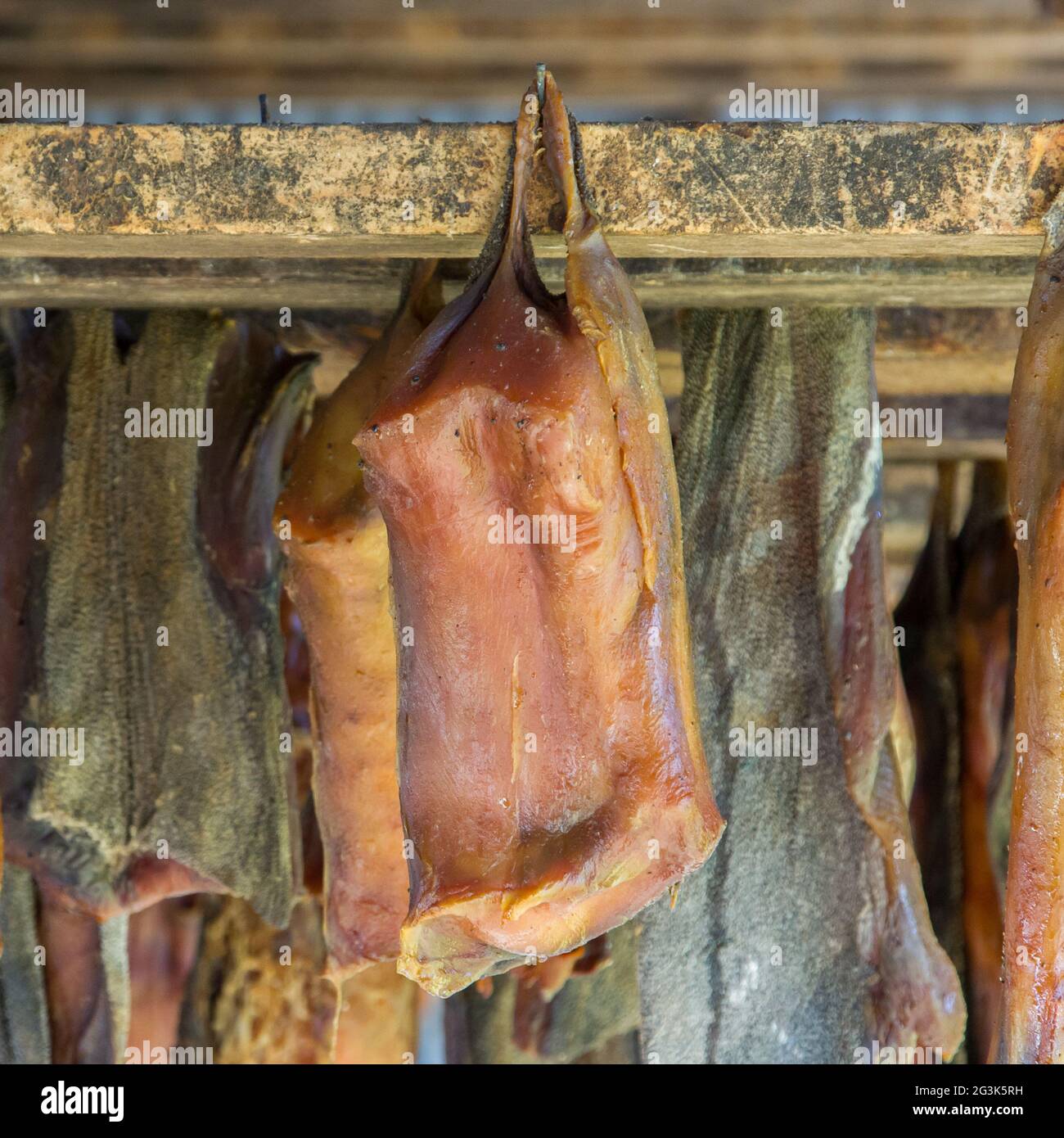 Iceland's fermented shark Stock Photo - Alamy
