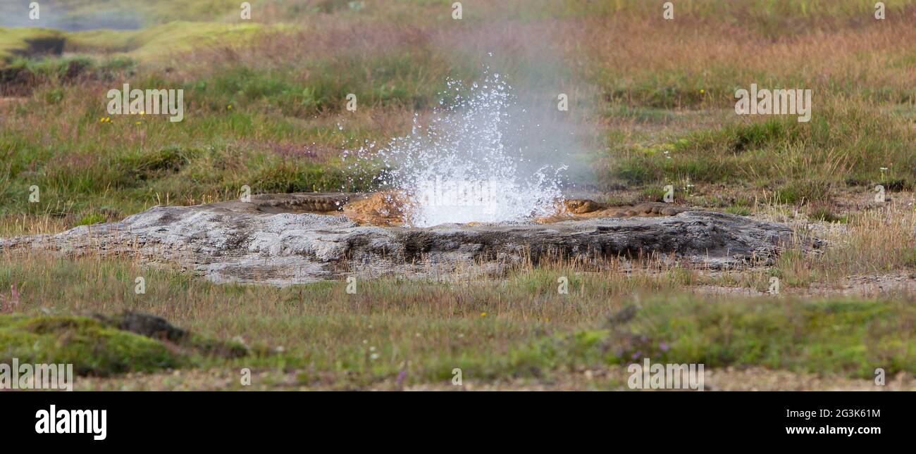 Geothermally active valley of Haukadalur Stock Photo - Alamy