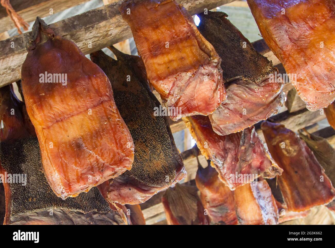 Iceland's fermented shark Stock Photo - Alamy