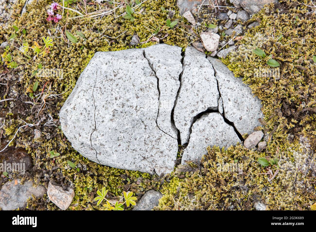 Frost leaves Destructive Patterns in a Stone Stock Photo - Alamy