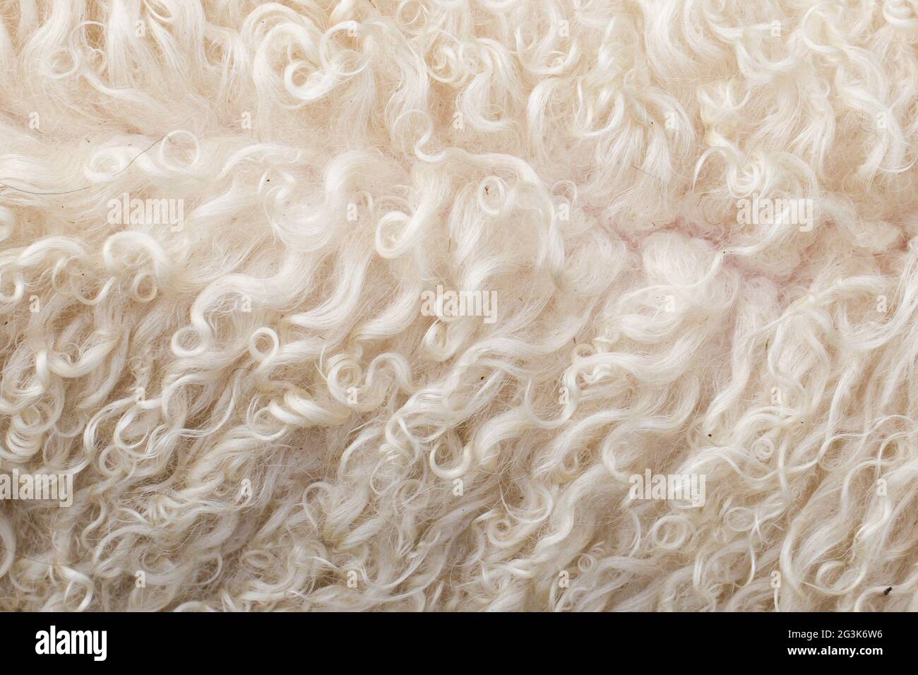 Wool texture for background Stock Photo - Alamy