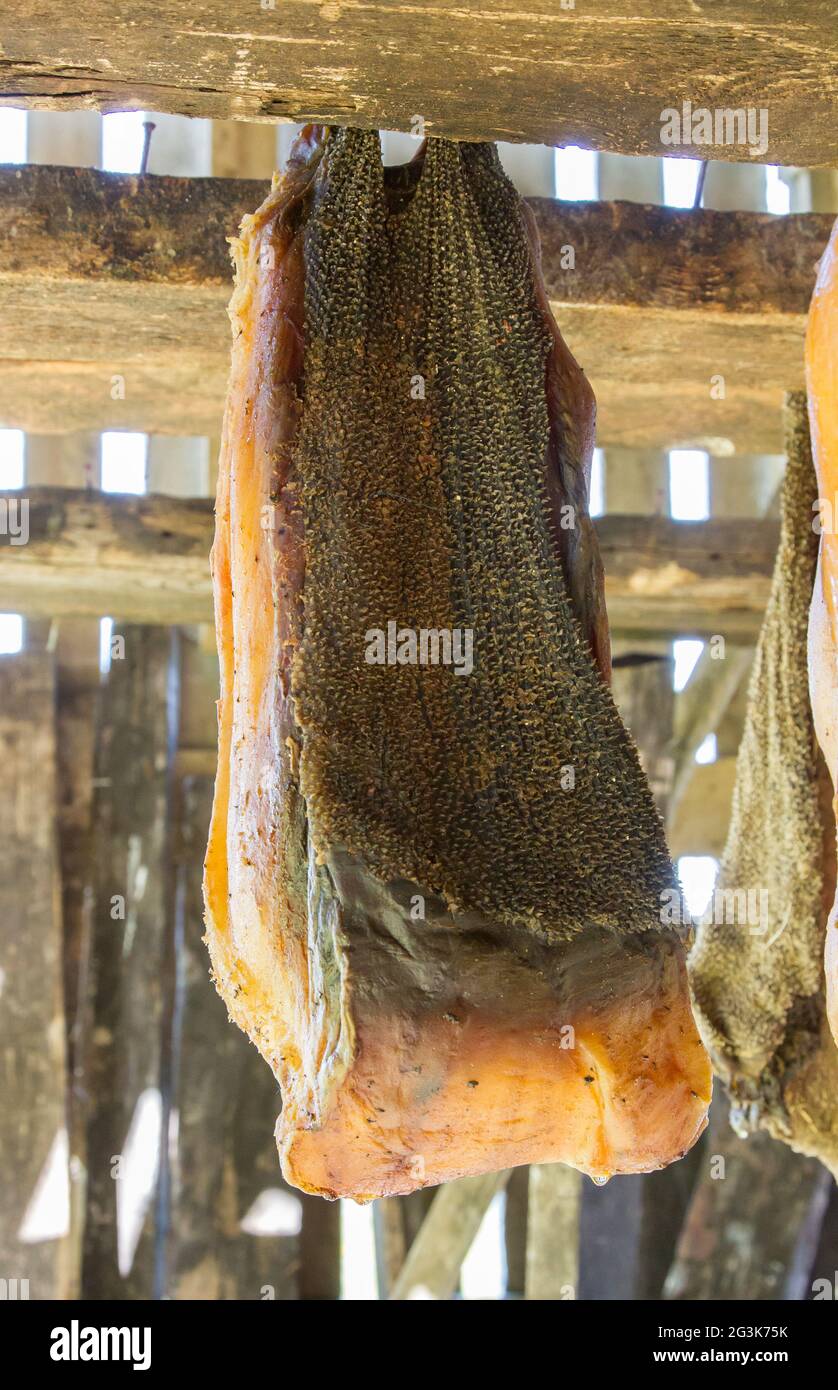 Iceland's fermented shark Stock Photo - Alamy