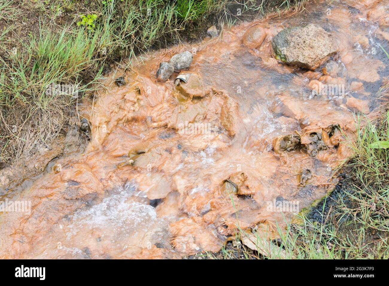 Geothermally active valley of Haukadalur Stock Photo - Alamy