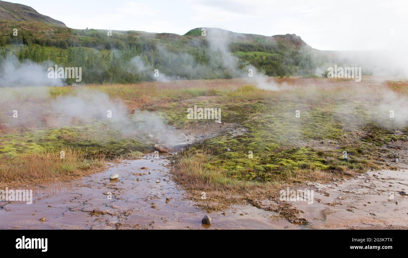 Geothermally active valley of Haukadalur Stock Photo - Alamy