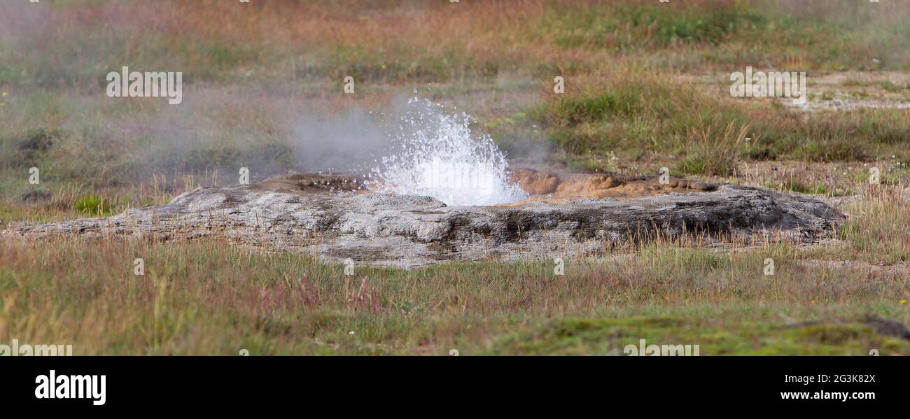 Geothermally active valley of Haukadalur Stock Photo - Alamy