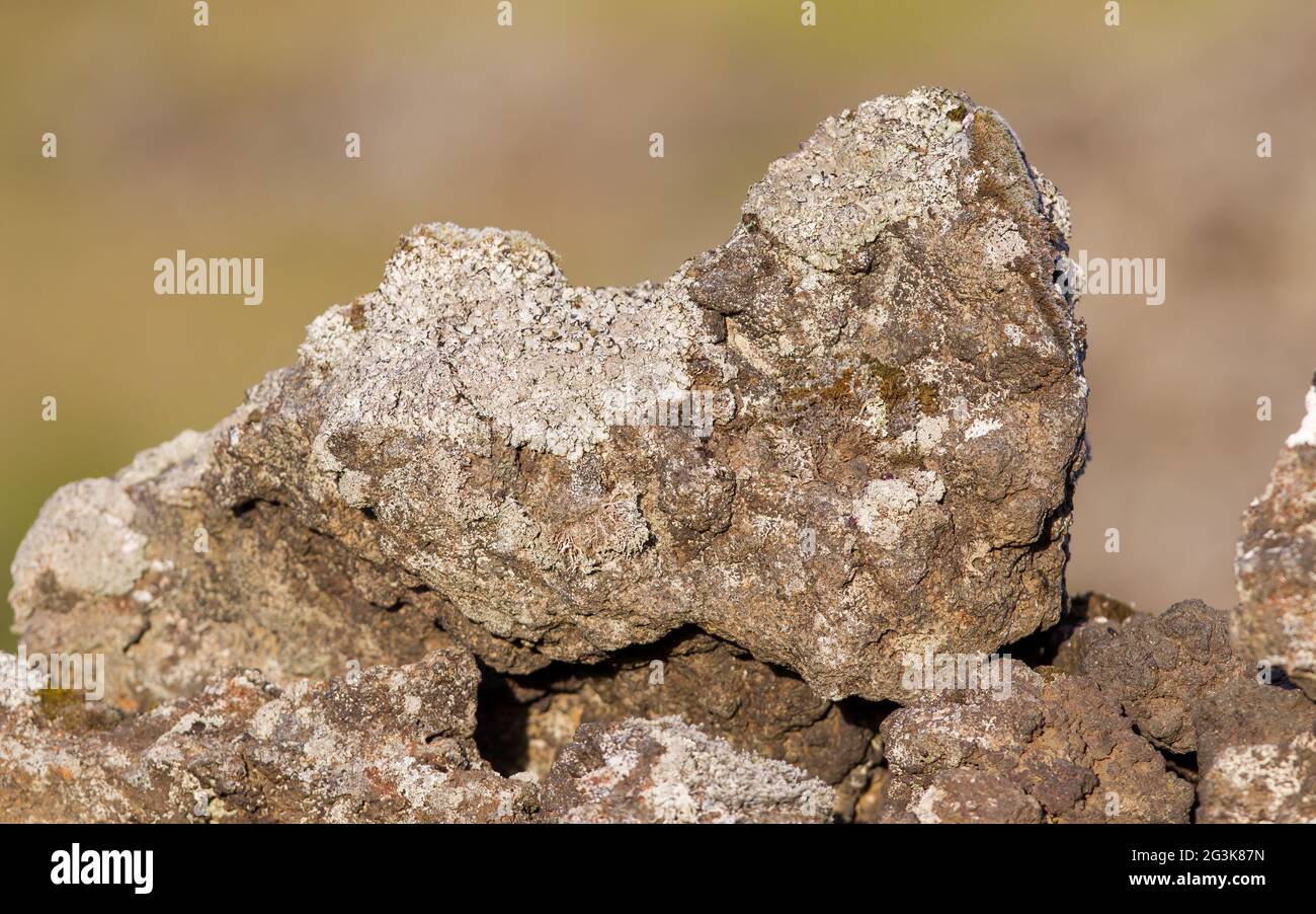 Close up porous lava rock hi-res stock photography and images - Alamy