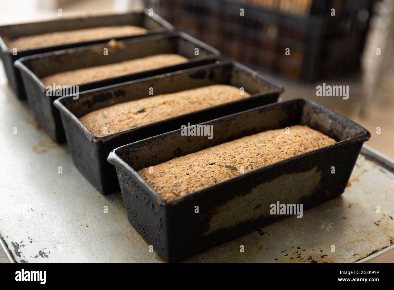 Fresh bread in a metal bread pan Stock Photo - Alamy