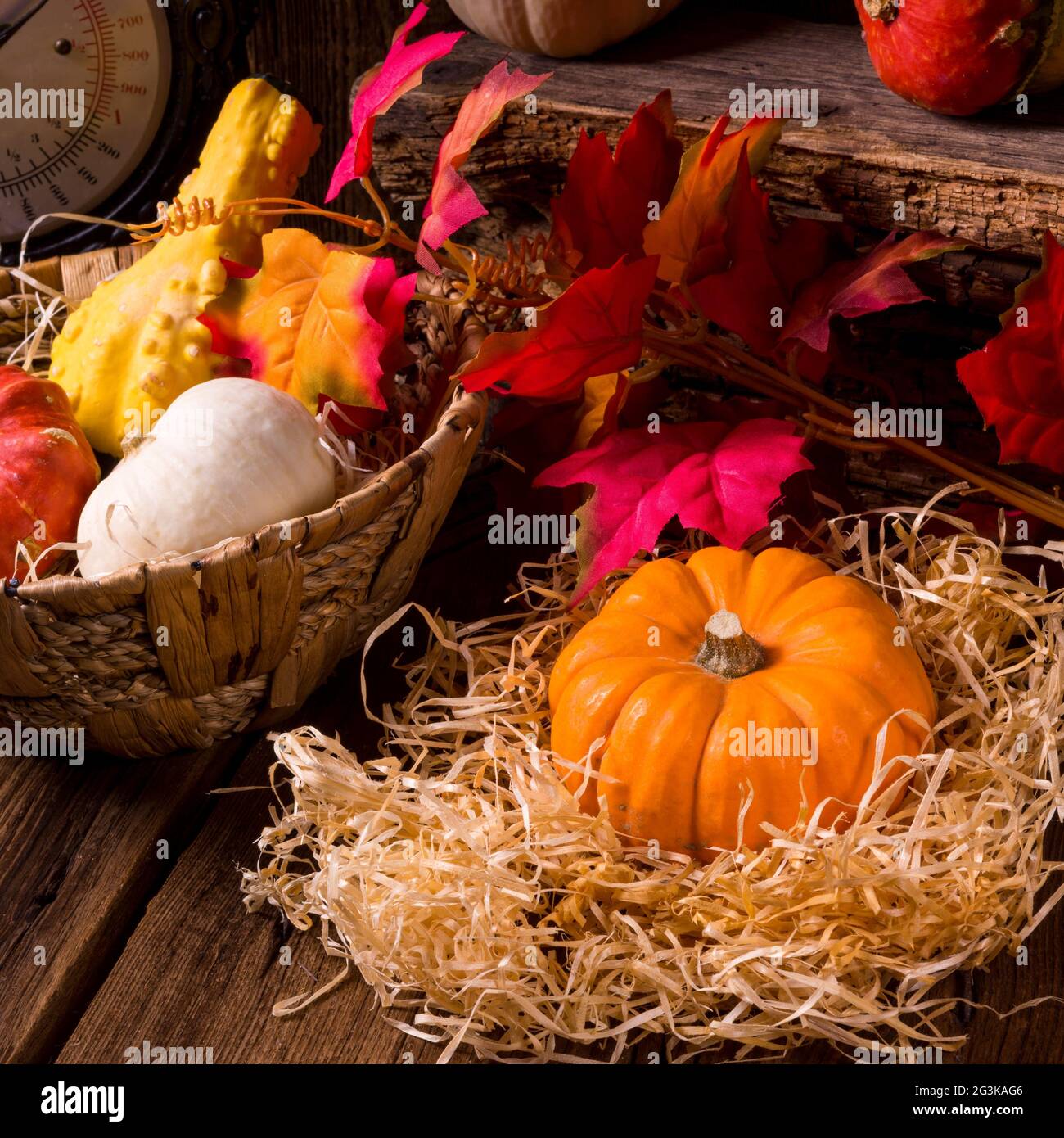 Corn horn hi-res stock photography and images - Alamy
