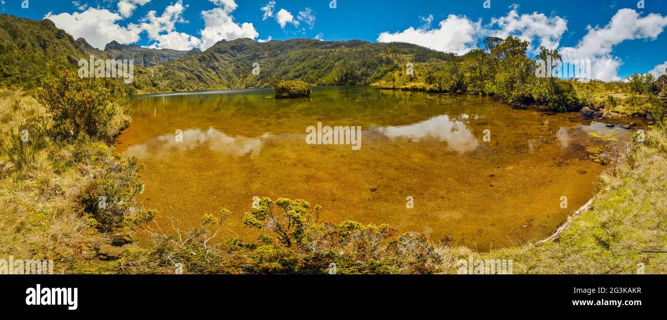 Water in greenery Stock Photo - Alamy