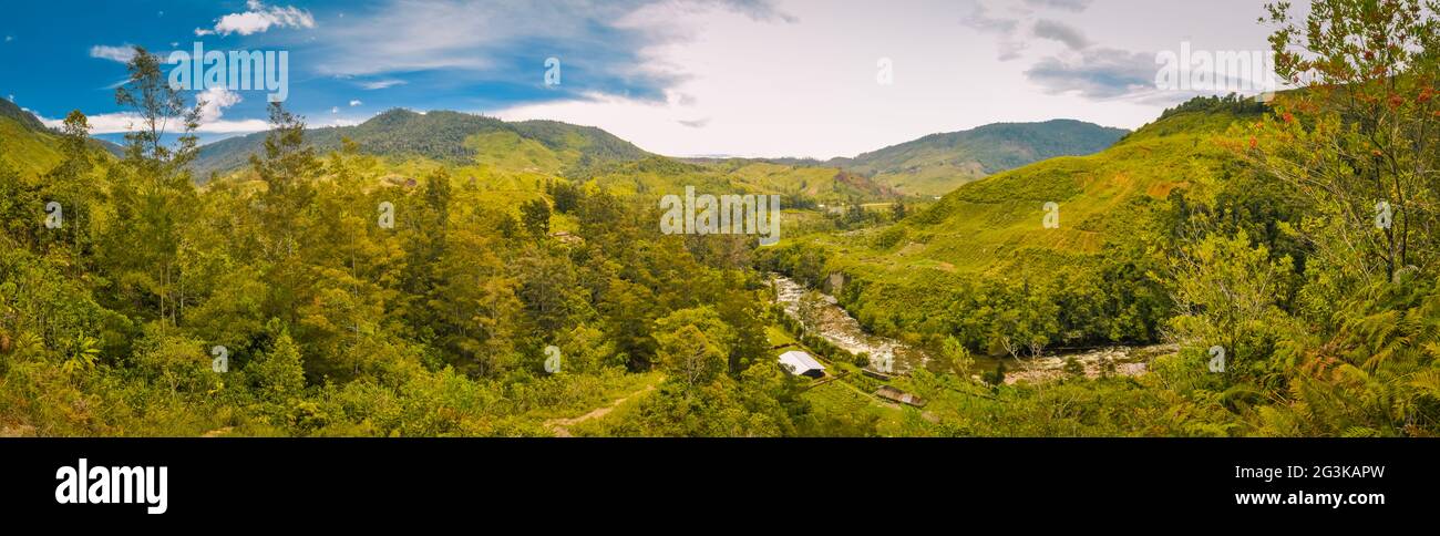 Rich nature in Trikora Stock Photo - Alamy