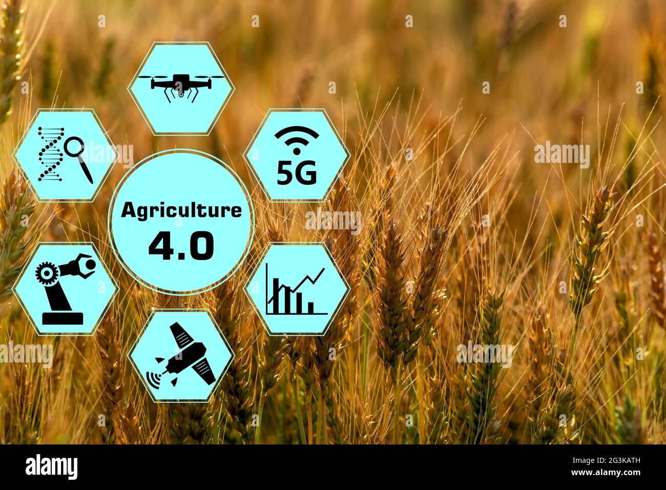 Agricultural production using renewable hi-res stock photography and ...