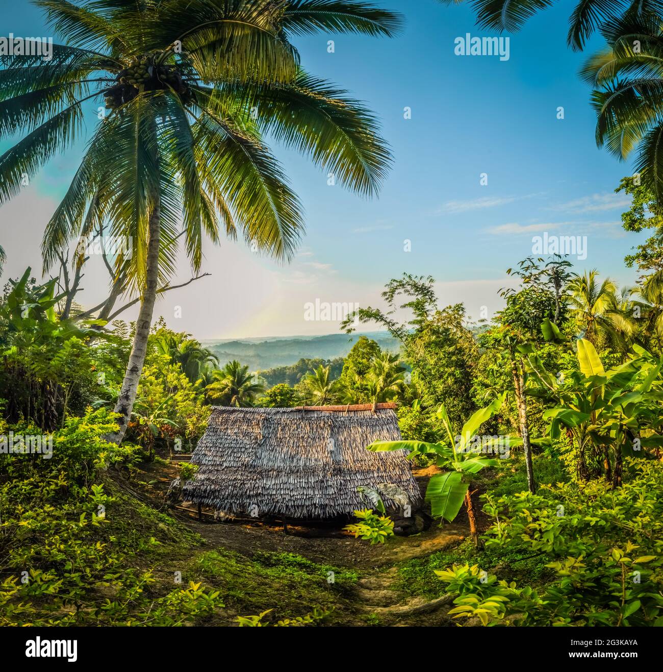 Small house in forest Stock Photo - Alamy