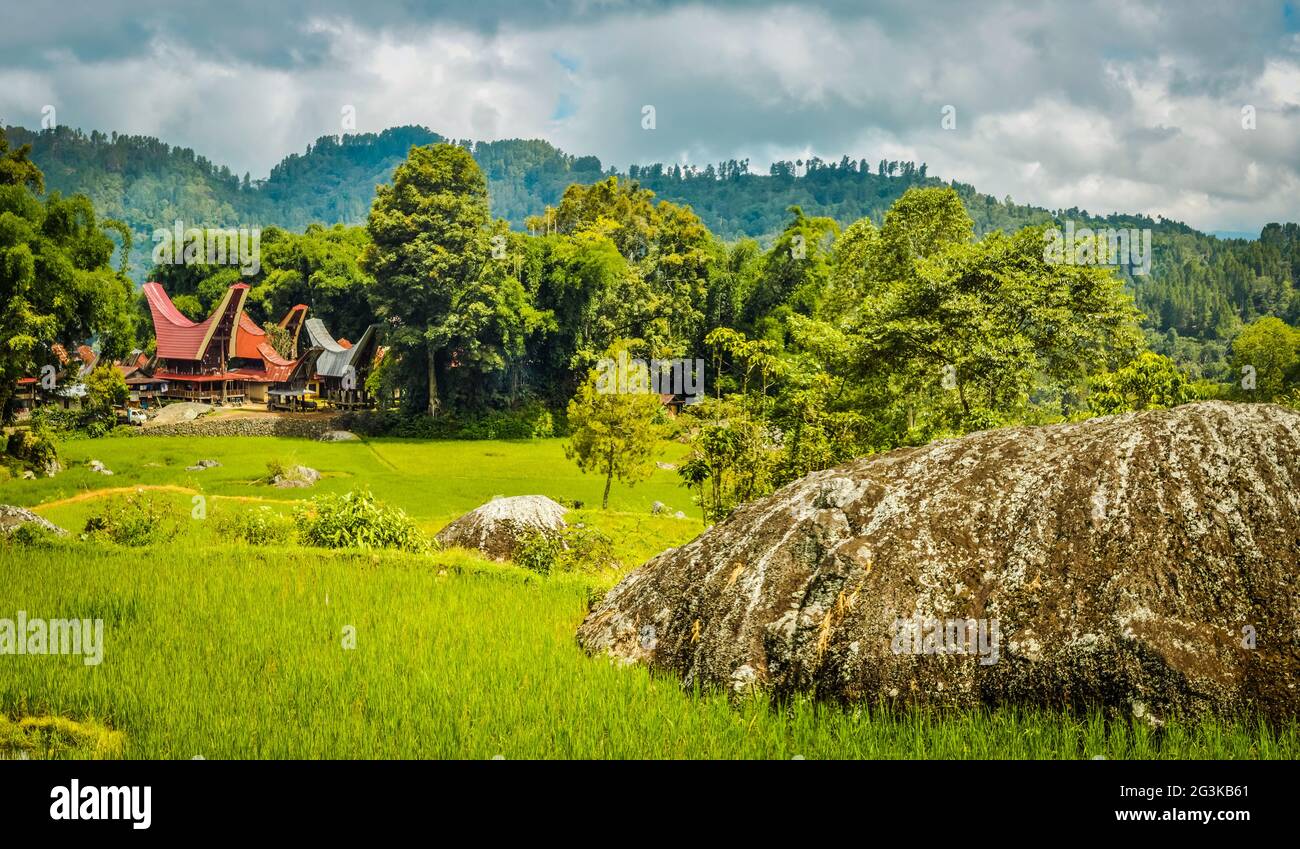 Large rock and greenery Stock Photo - Alamy