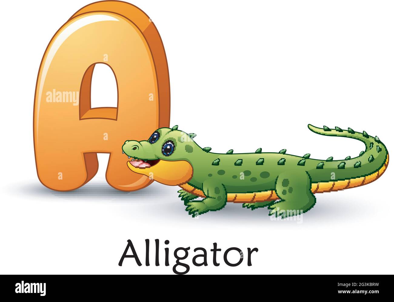 Letter A is for Alligator cartoon alphabet Stock Vector Image & Art - Alamy