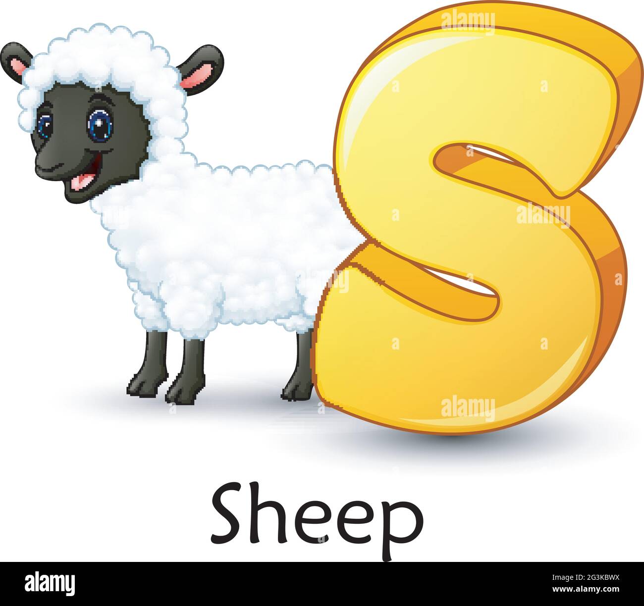 Sheep study Stock Vector Images - Alamy