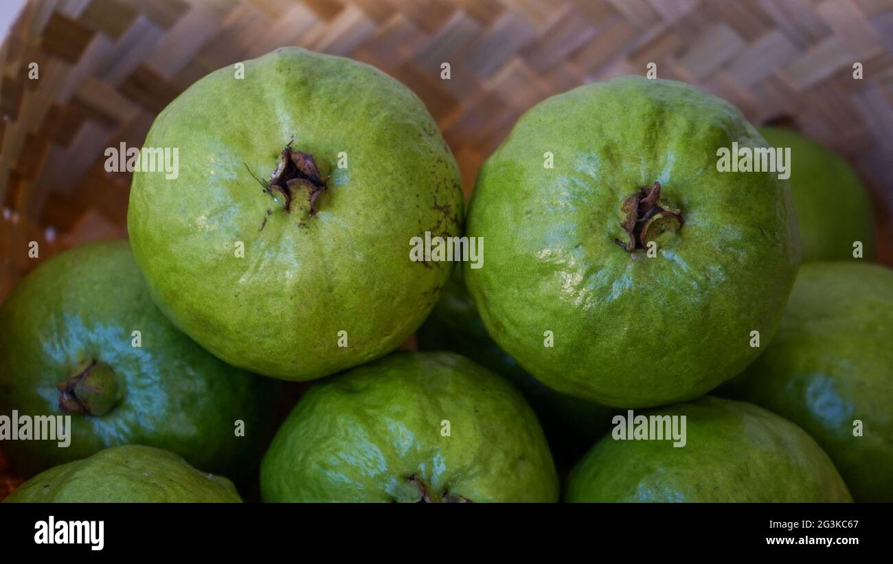 close-up of guava fruit Stock Photo - Alamy