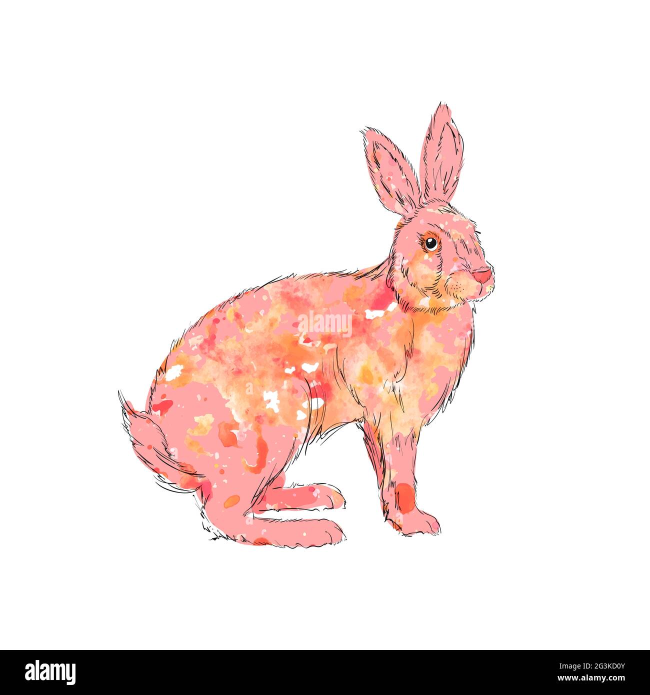 Illustration of watercolor pink rabbit Stock Photo - Alamy