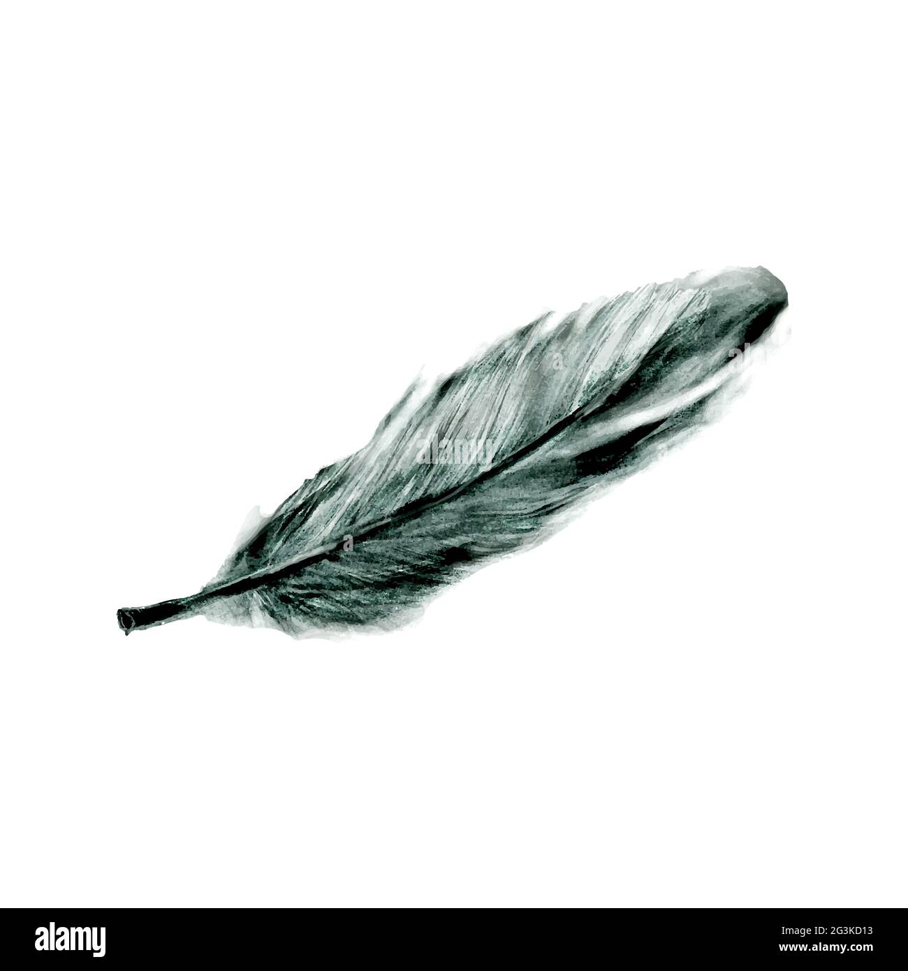 Collection feather illustration drawing Cut Out Stock Images & Pictures ...