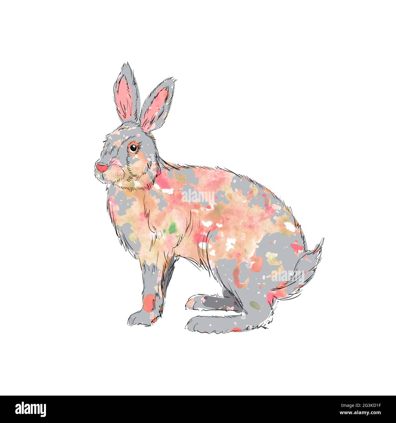 Illustration of hand drawn watercolor rabbit Stock Photo - Alamy