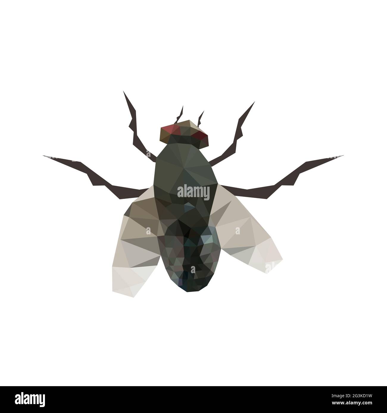 Illustration of origami fly Stock Photo - Alamy