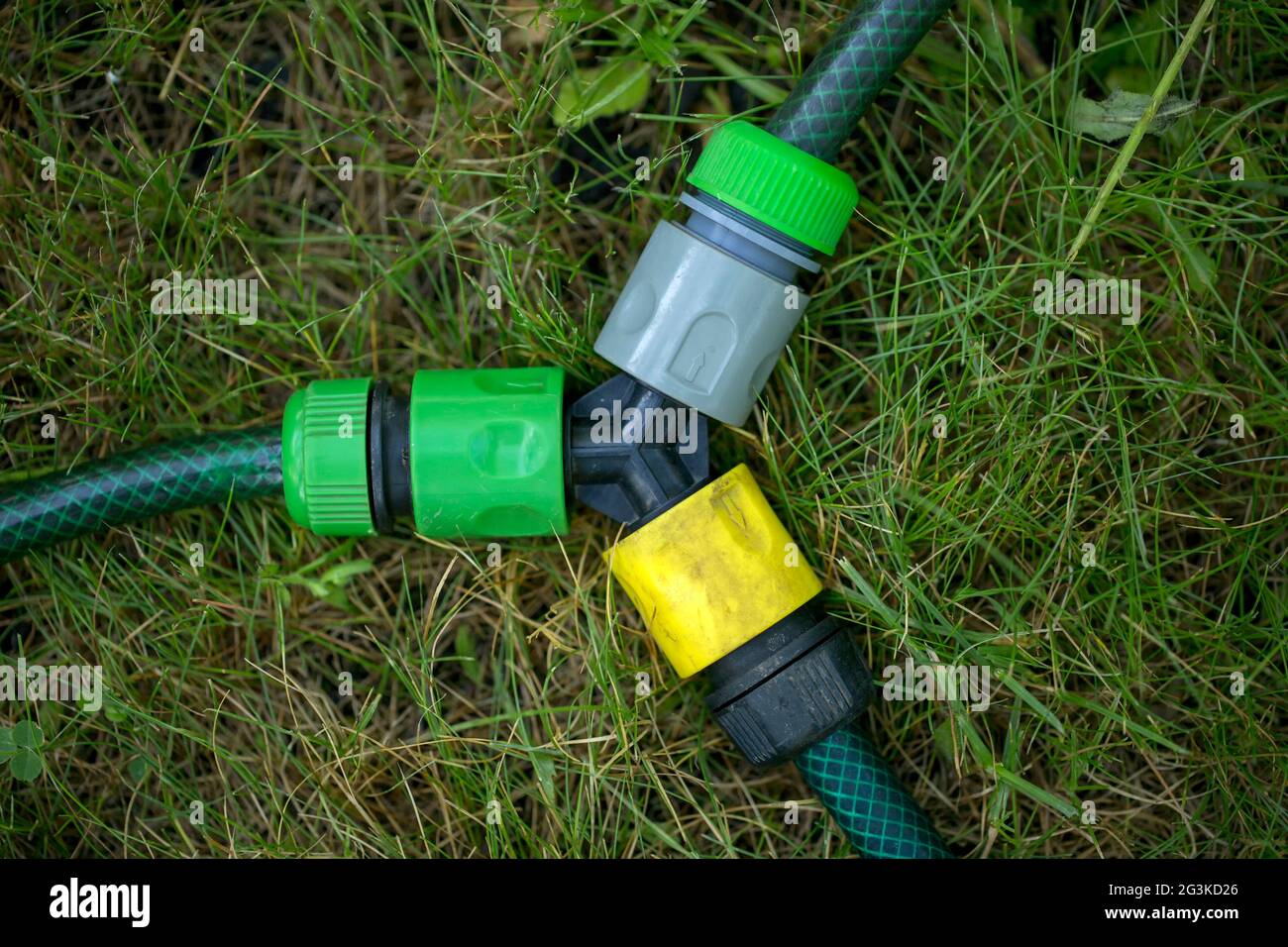Triple connection system for watering hoses in grass Stock Photo - Alamy