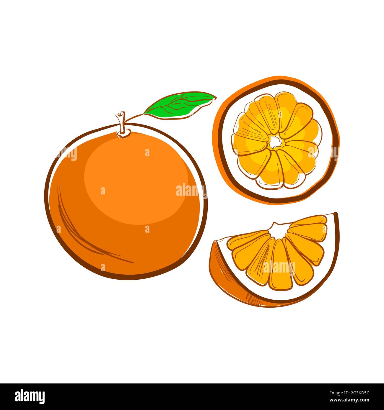 Illustration of hand drawn orange with slices Stock Photo - Alamy