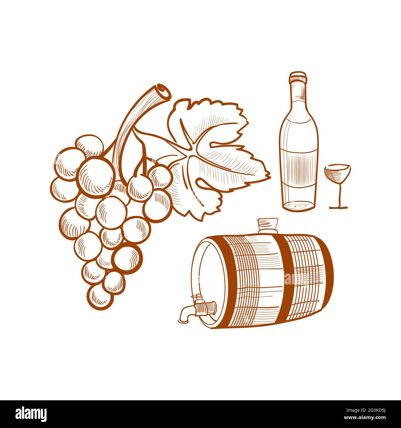 Wine Bottle And Grapes Drawing