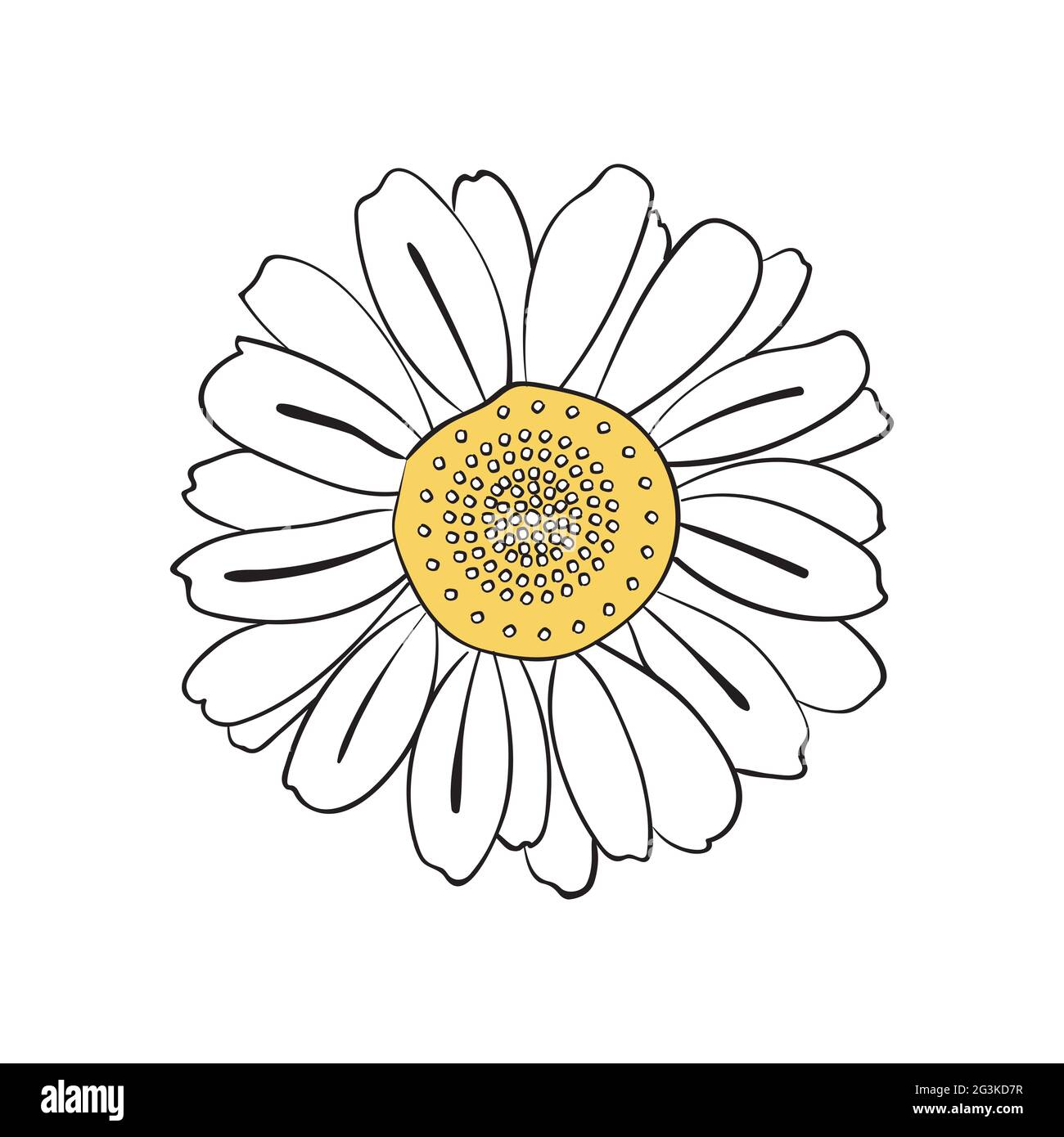 Hand drawn tulip vector Cut Out Stock Images & Pictures - Alamy