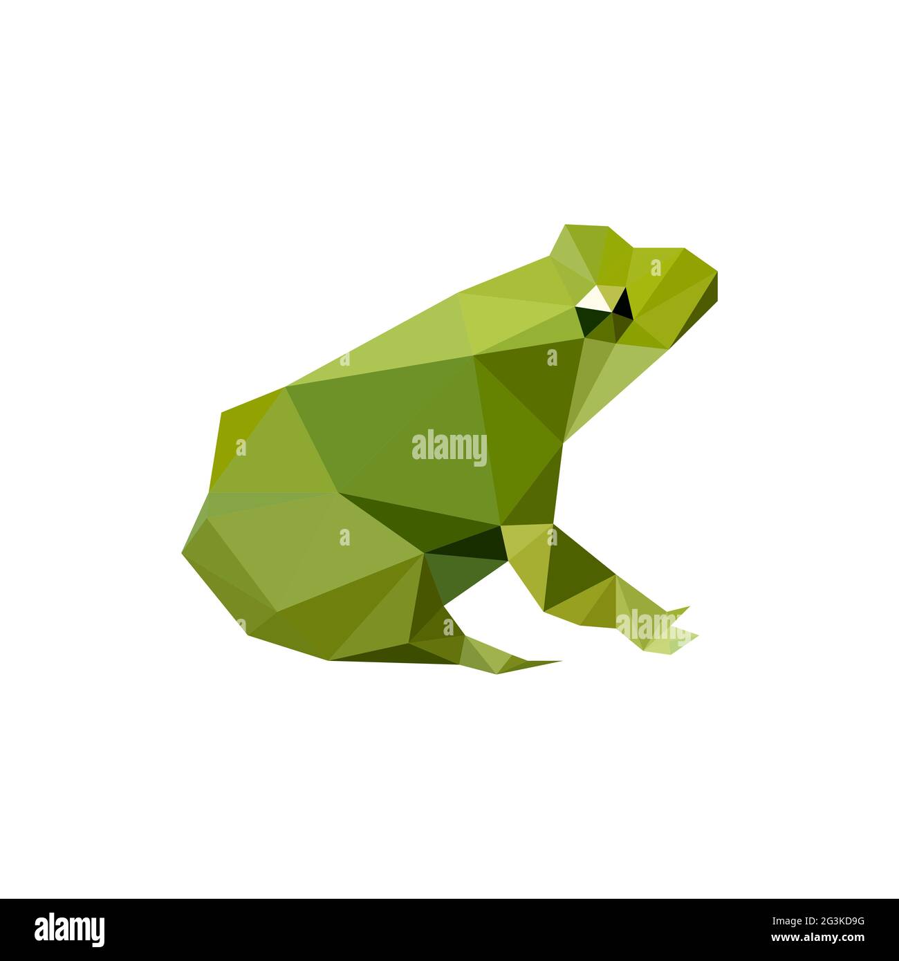 Illustration of modern flat design with origami frog Stock Photo - Alamy