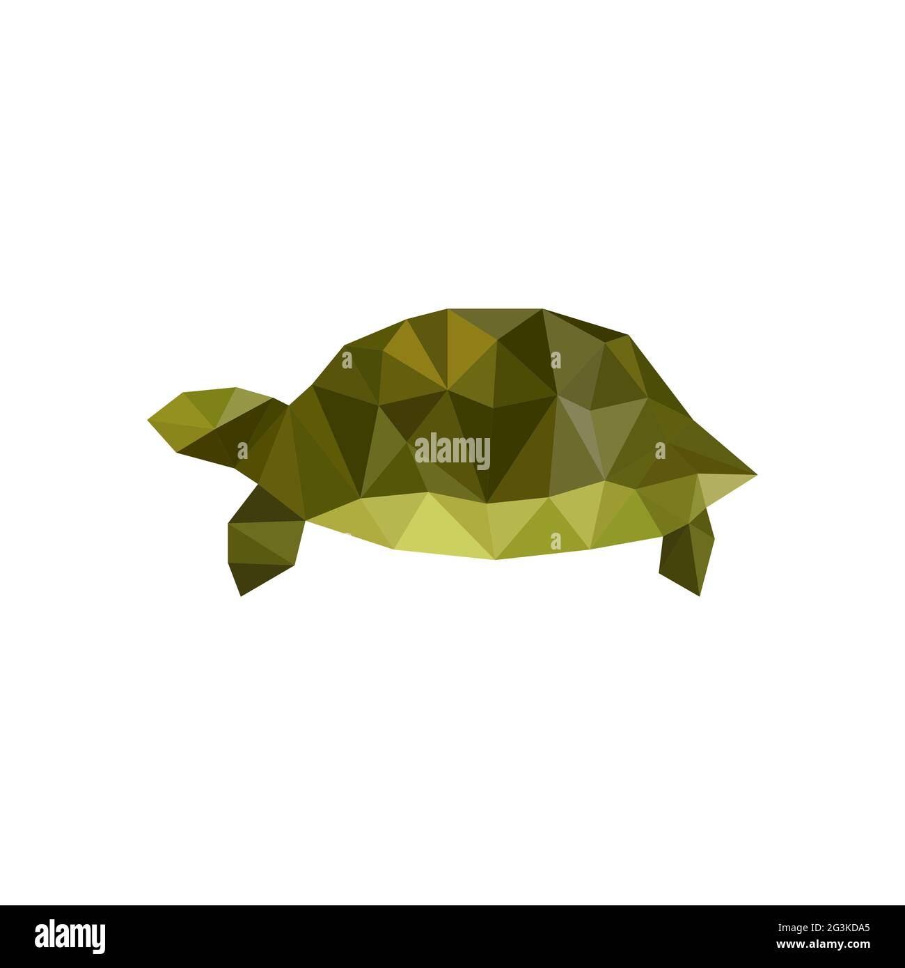 Green sea turtle art hi-res stock photography and images - Alamy