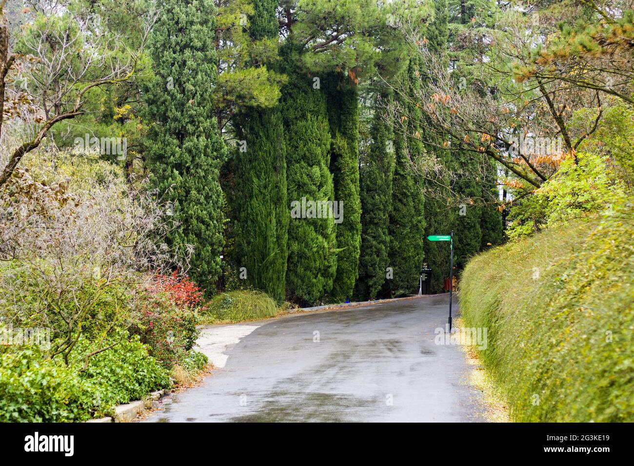 Beautiful pathway through the greenery in Tbilisi botanic garden Stock ...