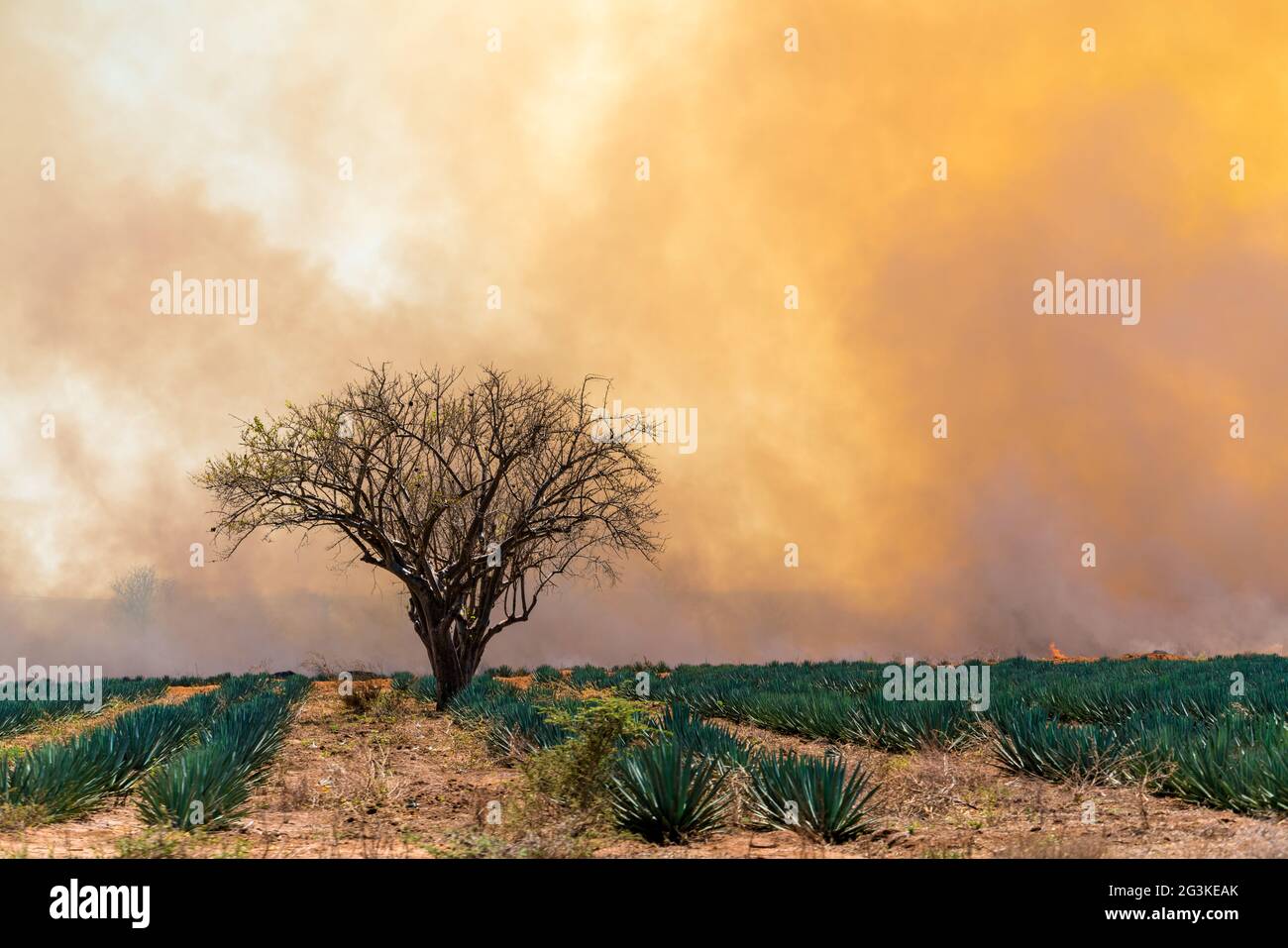 Land of fire hi-res stock photography and images - Alamy