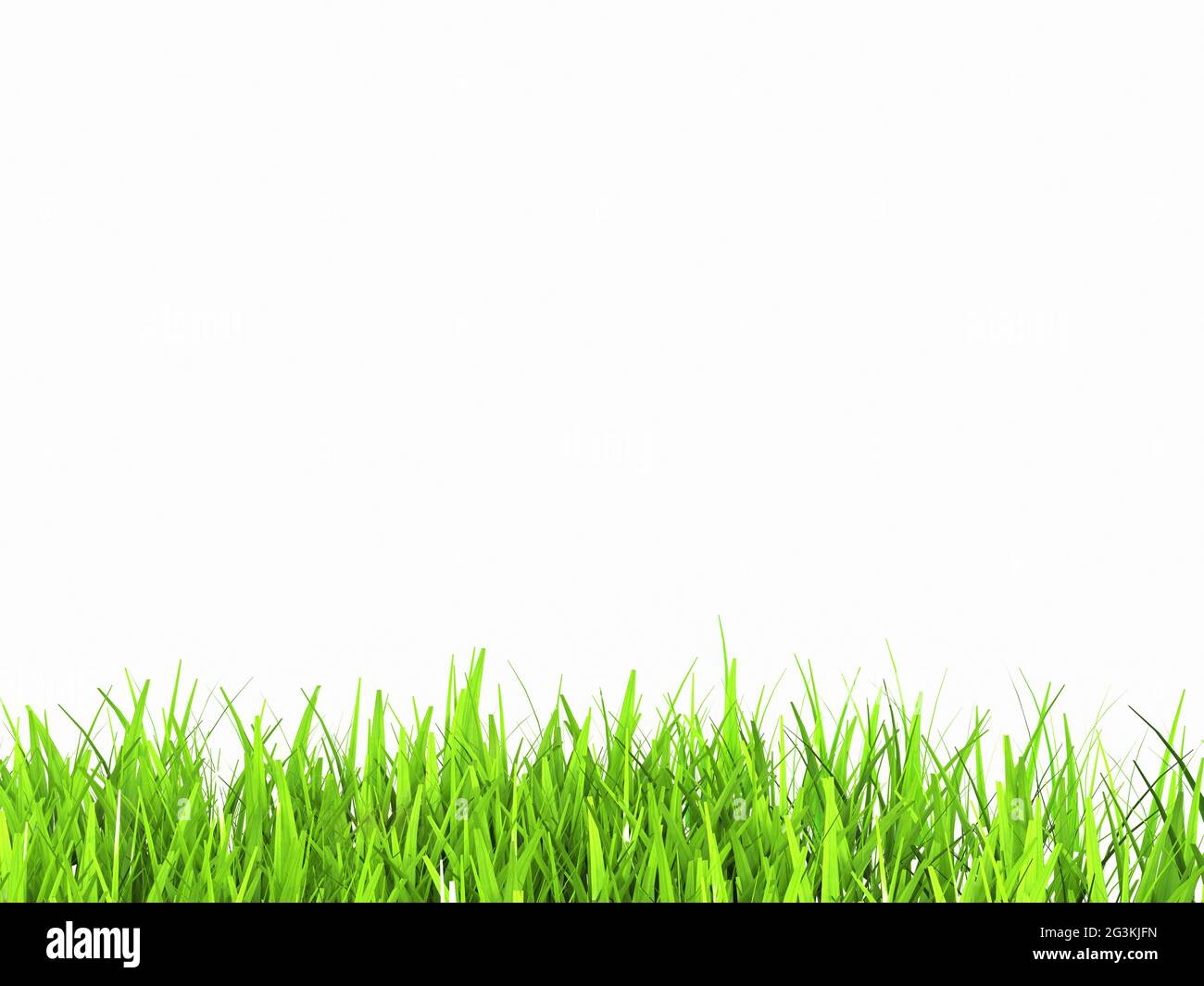 Green grass isolated Stock Photo - Alamy