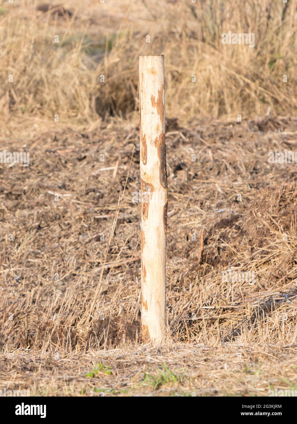 Blank marking at a walking path Stock Photo - Alamy