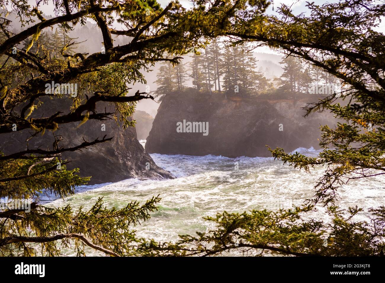 Island and ocean viewed through trees along the Samuel H. Boardman ...