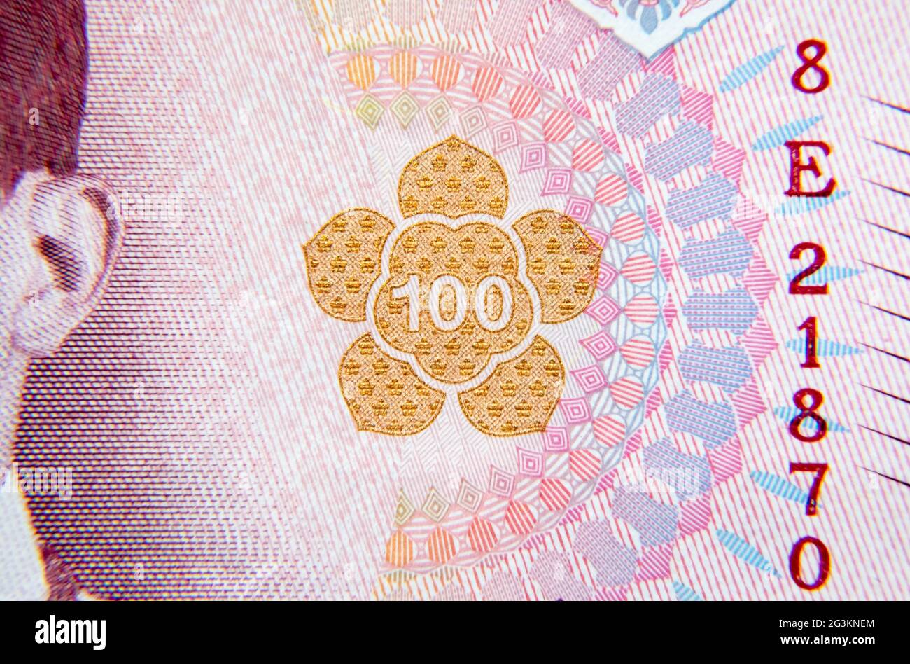 Detail on a 100 baht Thailand bank note Stock Photo - Alamy