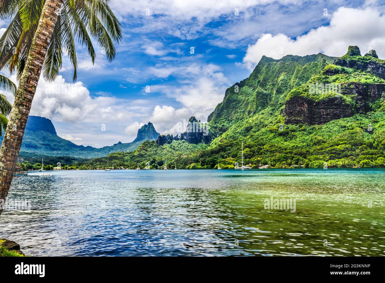 Colorful Cook's Bay Sailboats Mount Tohivea Highest Mountain Moorea ...