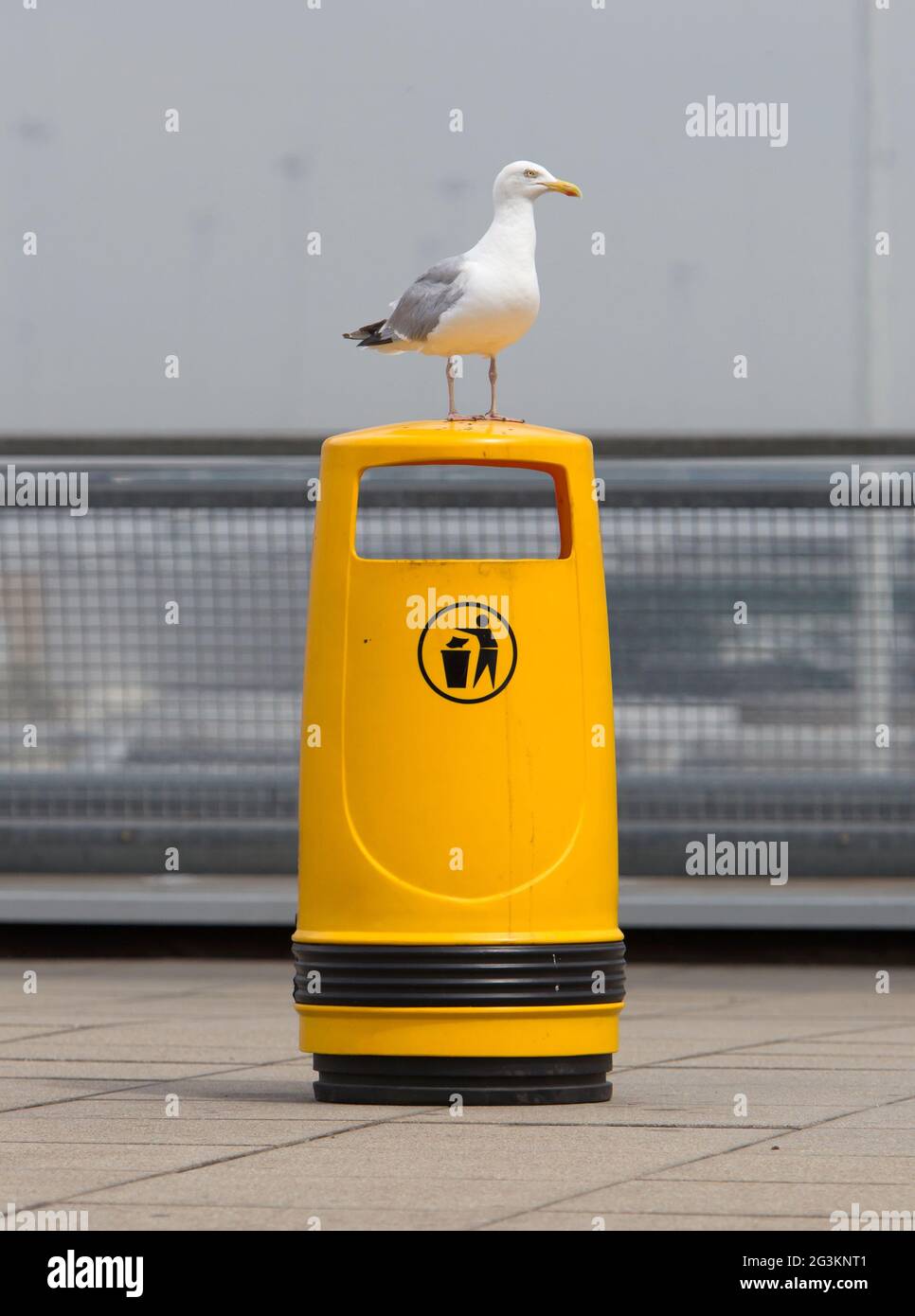 Old schiphol hi-res stock photography and images - Alamy